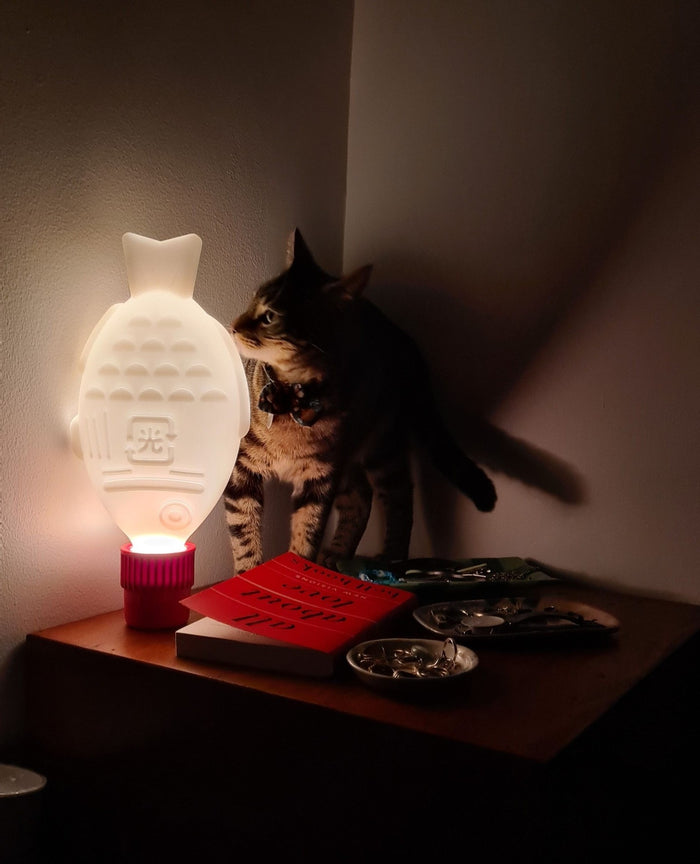 Contact – Heliograf