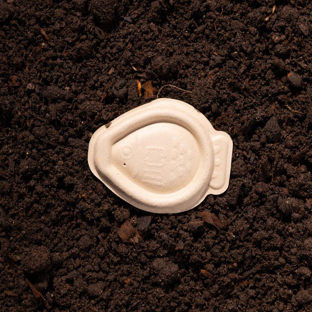 Holy Carp! – Heliograf