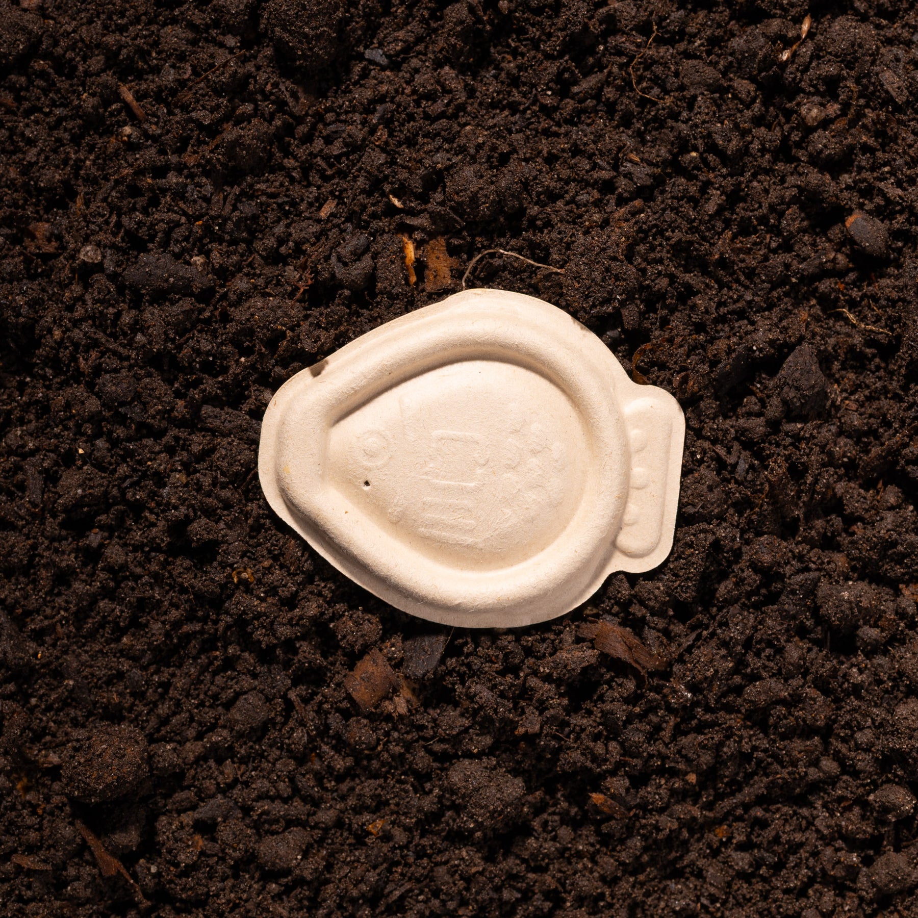 Holy Carp! – Heliograf